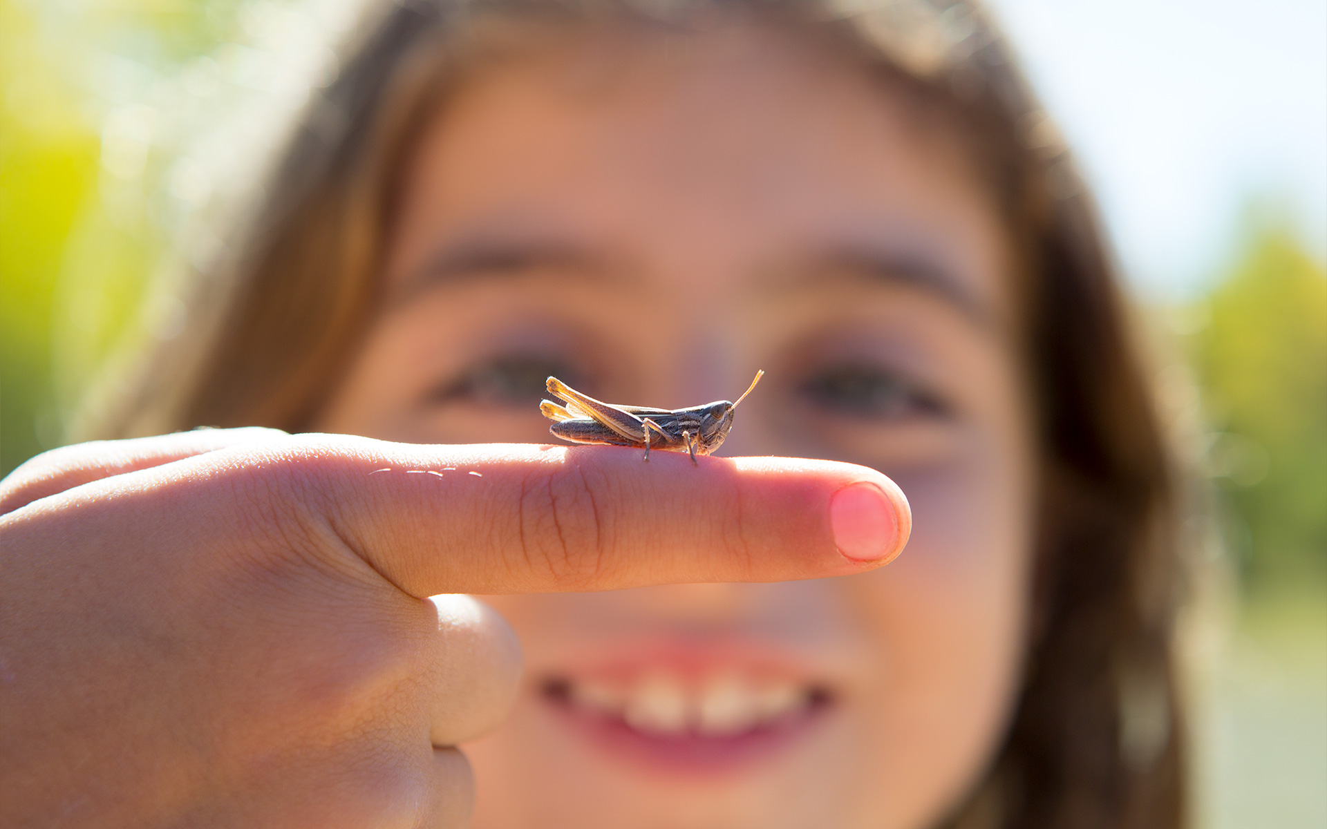 Homeschool Day: Insect Investigators