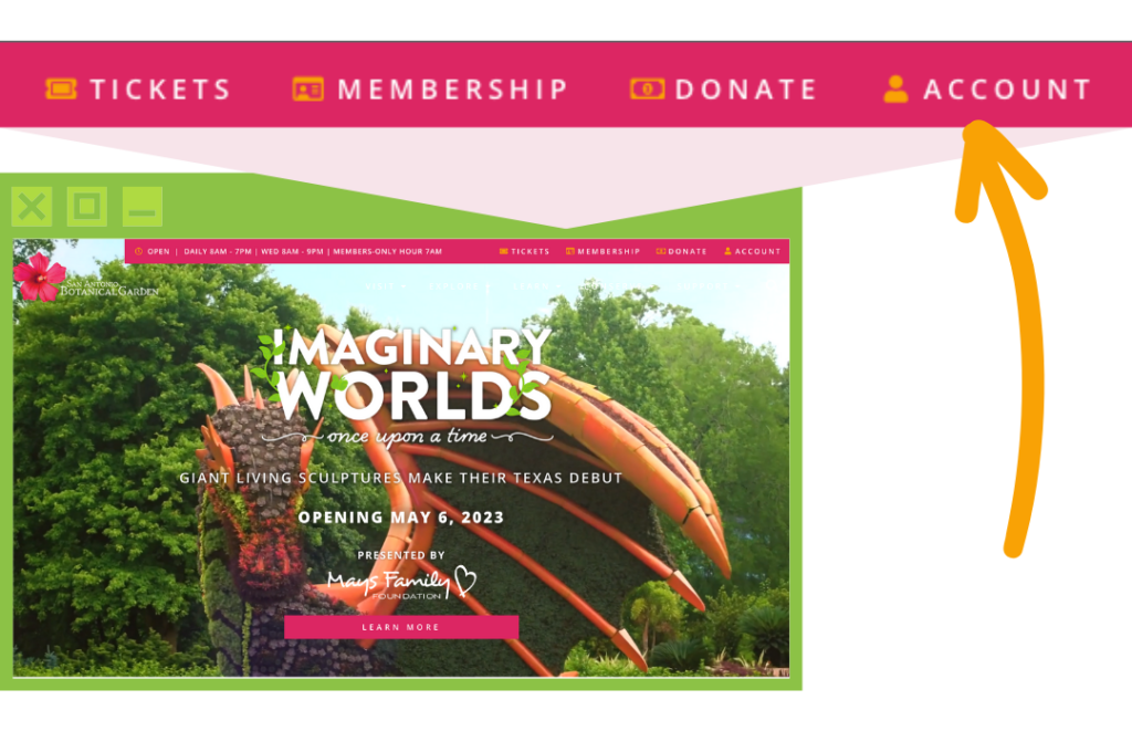 All About Your Online Member Account